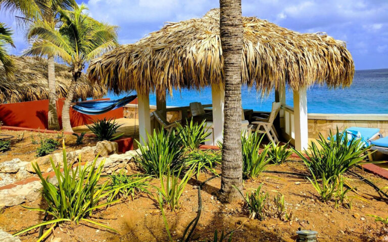 How to build a tiki hut: The easy guide to follow step by step