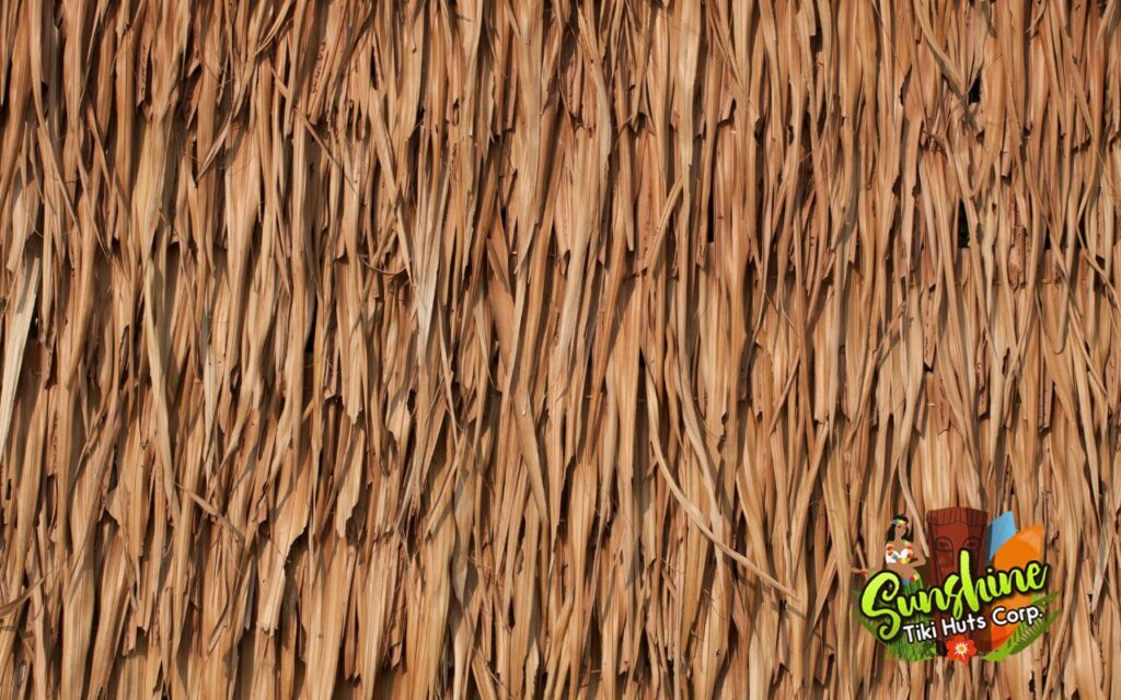 Tiki Hut Grass | Types, Tips & Facts