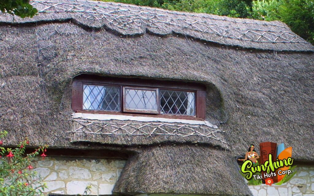 Tiki Hut Grass | Types, Tips & Facts