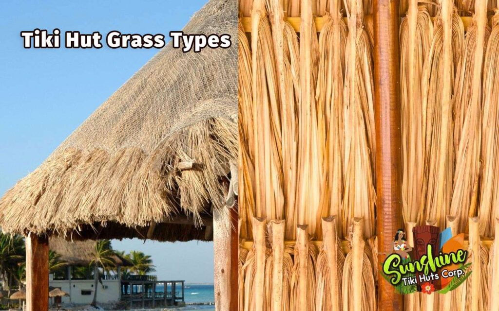 Tiki Hut Grass | Types, Tips & Facts