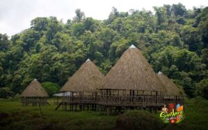 Chickee Hut: FAQs on Building One and Its Benefits